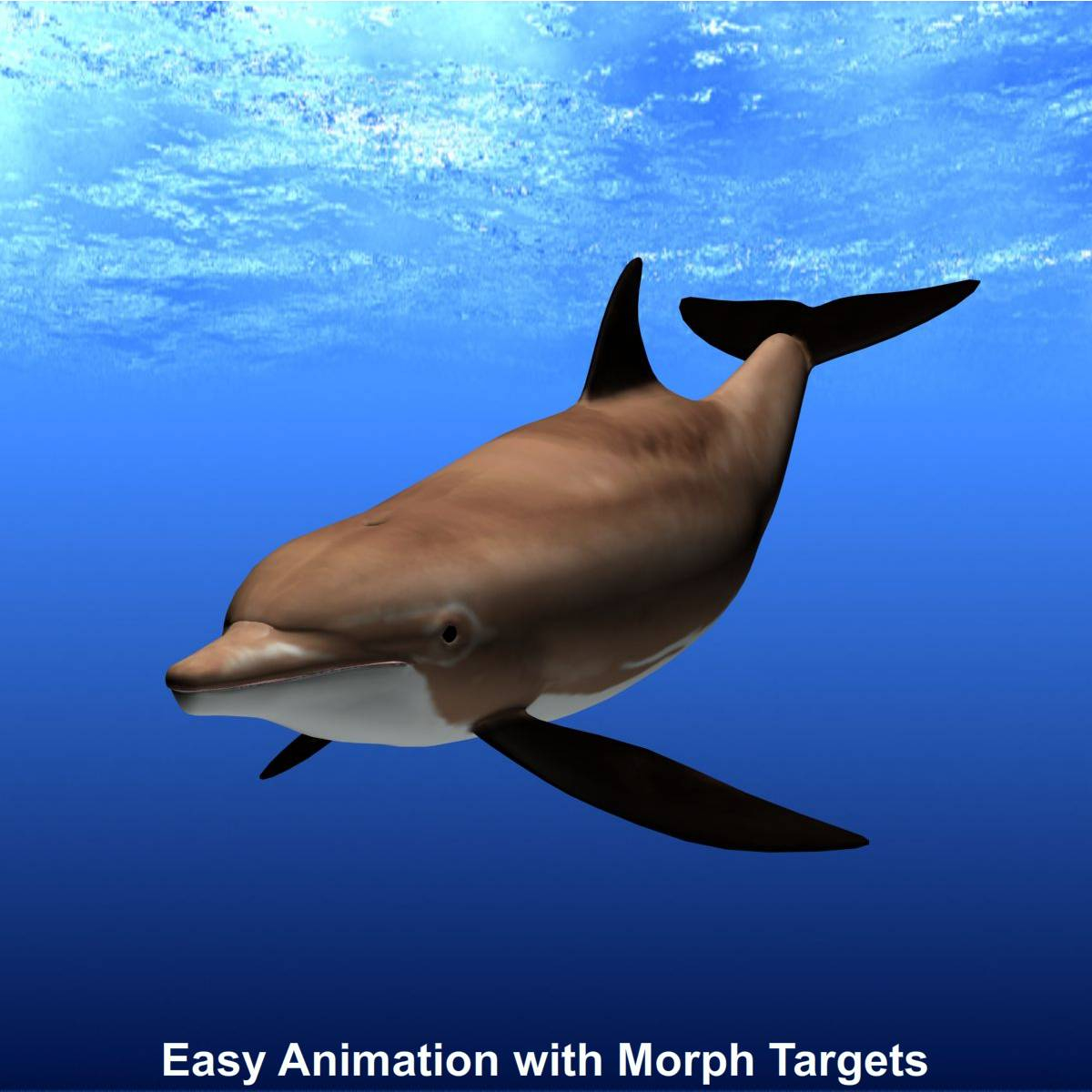 3d model bottlenose dolphine