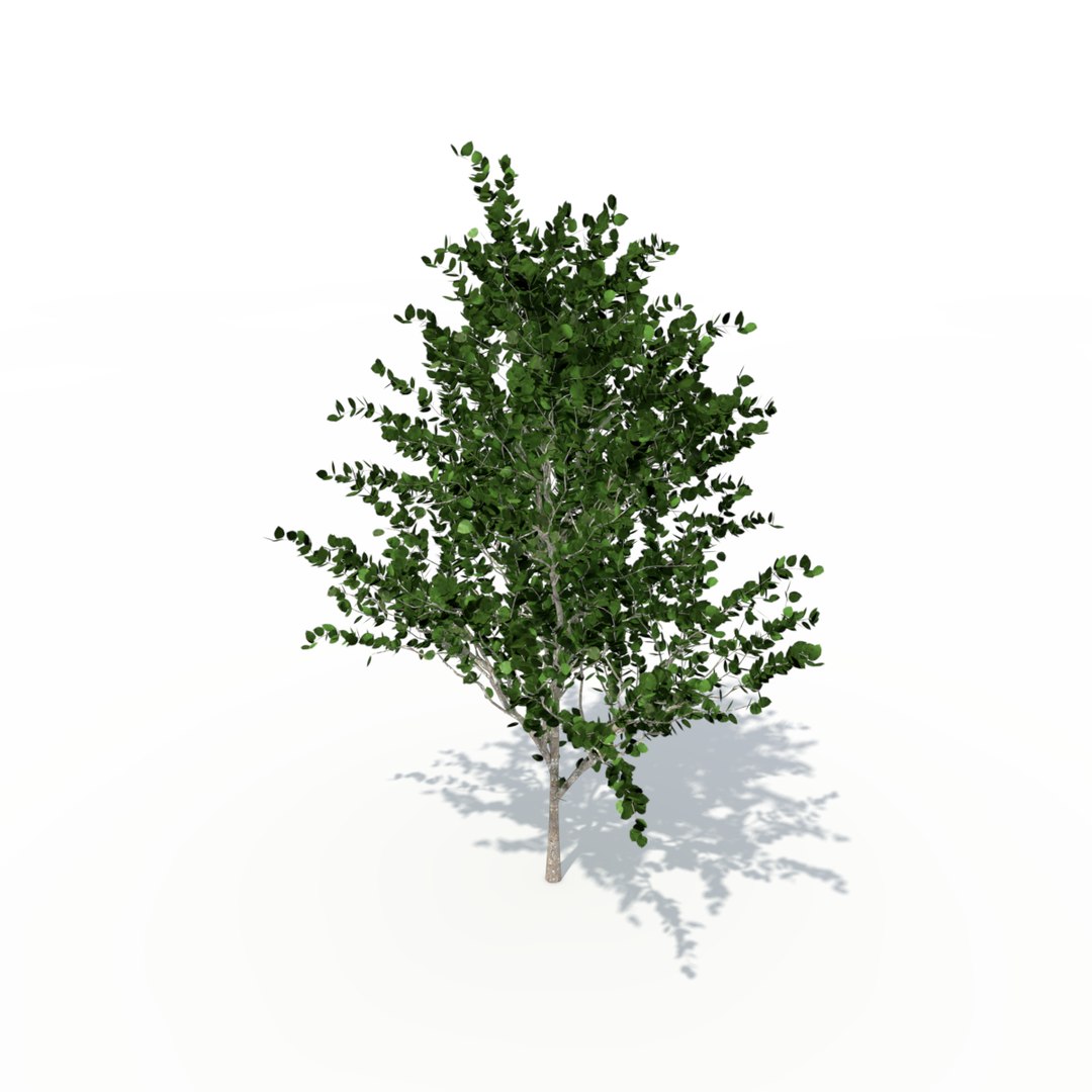 3ds max deciduous tree