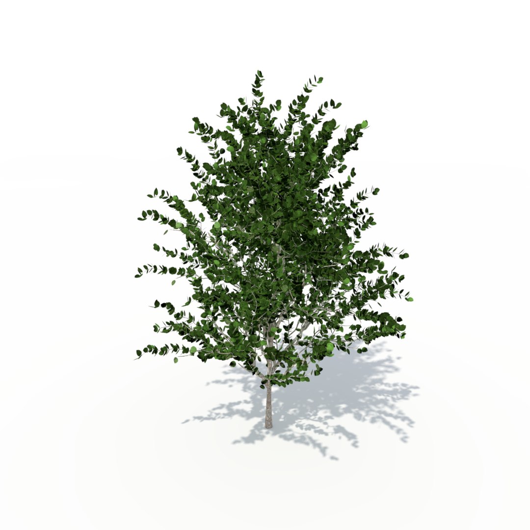 3ds max deciduous tree