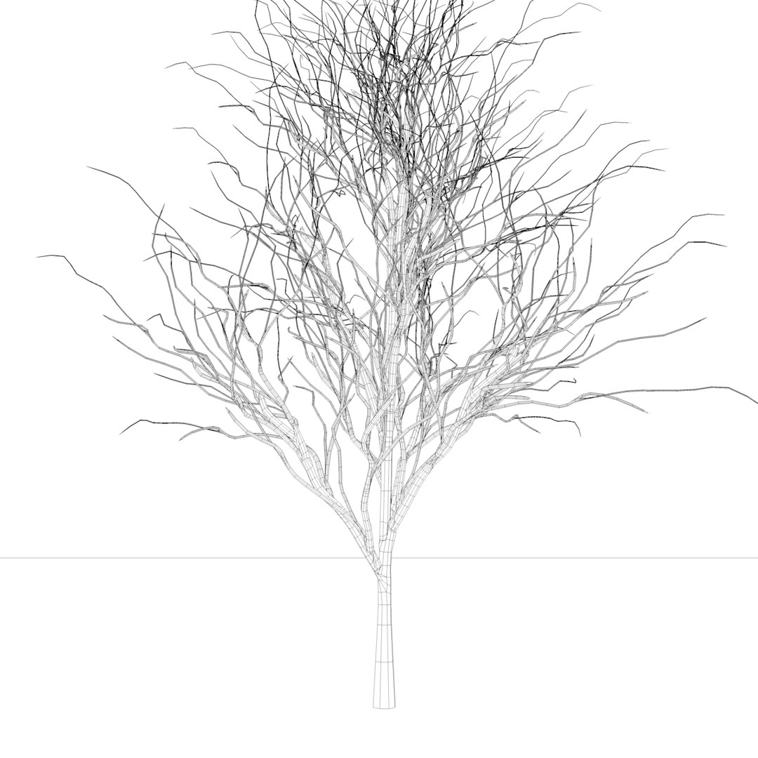 3ds max deciduous tree