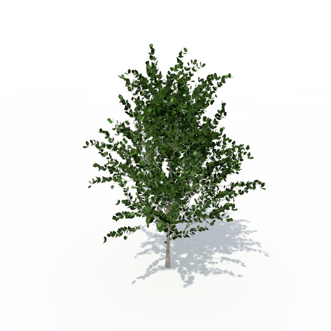 3ds max deciduous tree