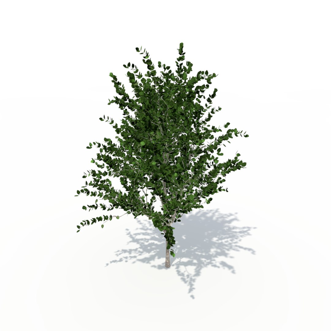 3ds max deciduous tree
