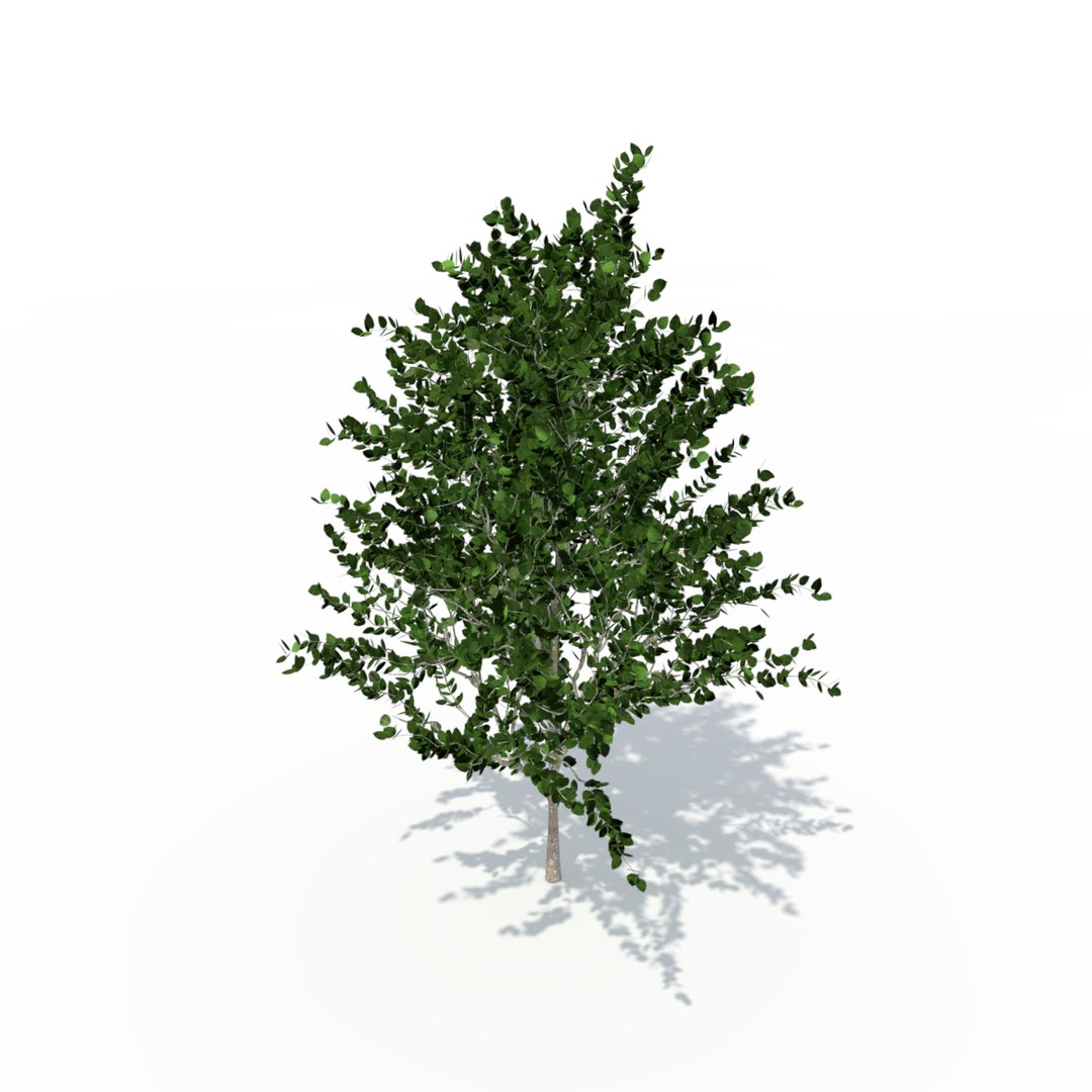 3ds max deciduous tree
