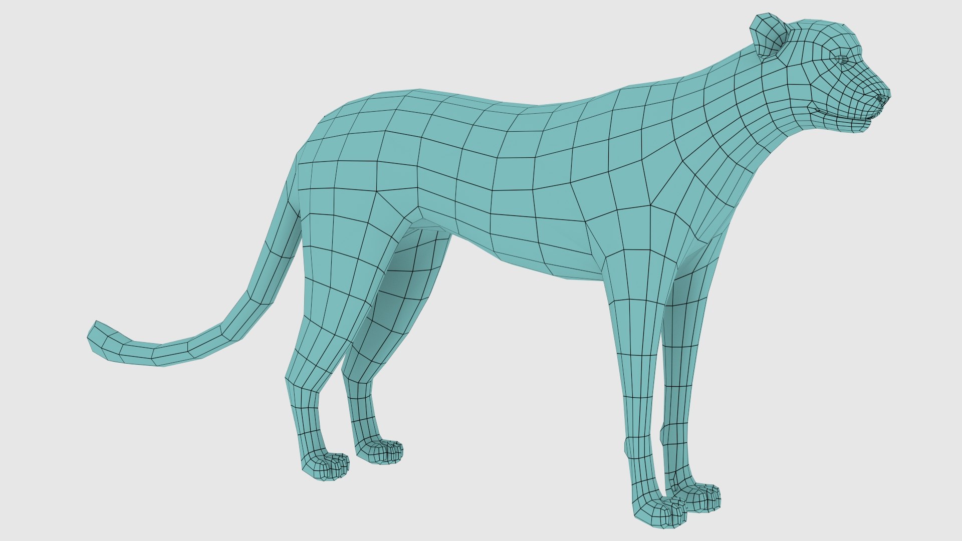 3D Cheetah Low Poly - TurboSquid 1744389
