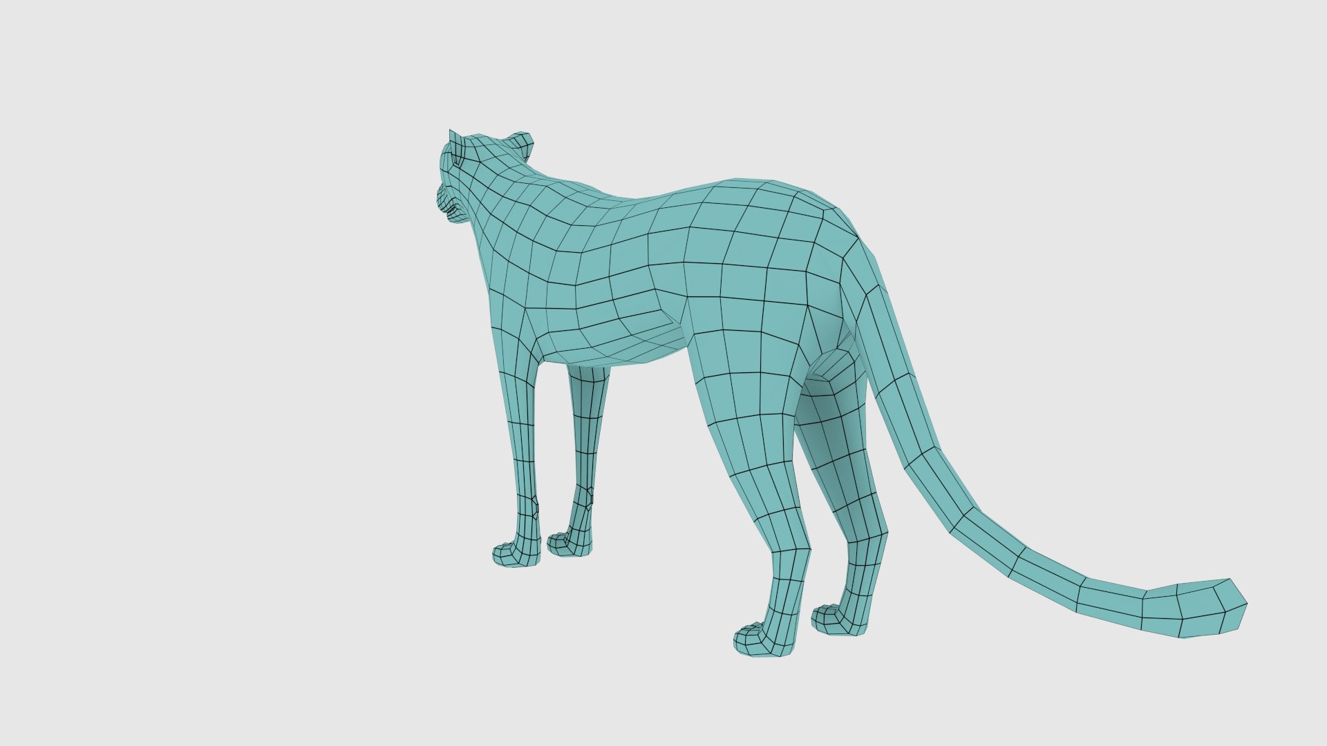 3D Cheetah Low Poly - TurboSquid 1744389