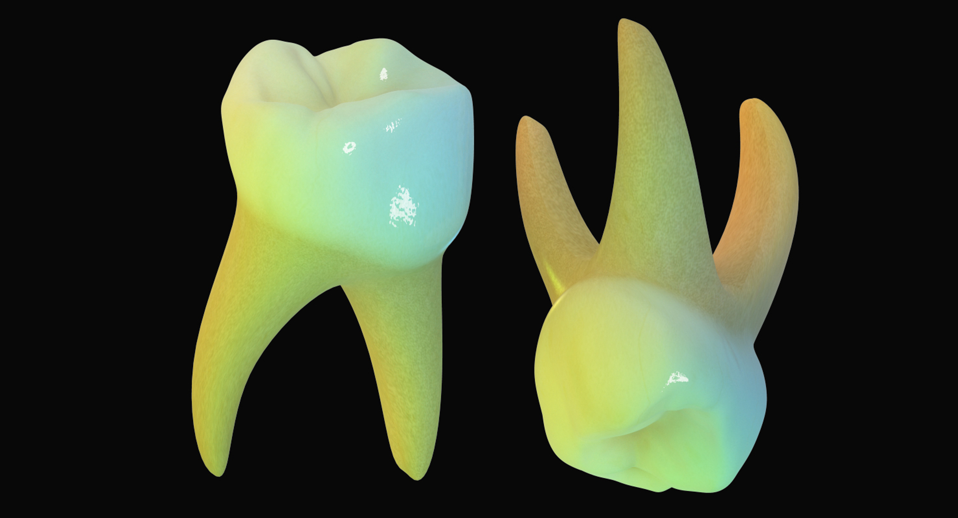 Primary Molars Max