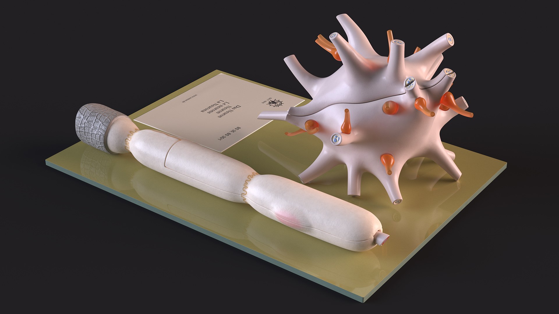 Human Neuron Model On Stand Model - TurboSquid 2059401