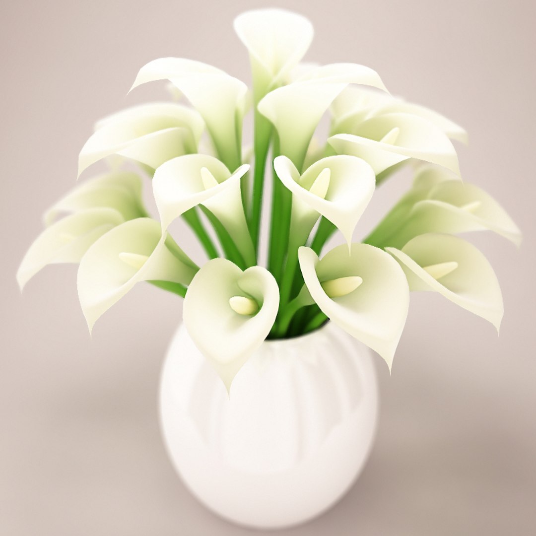 3d Model Beautiful White Flowers Bouquet
