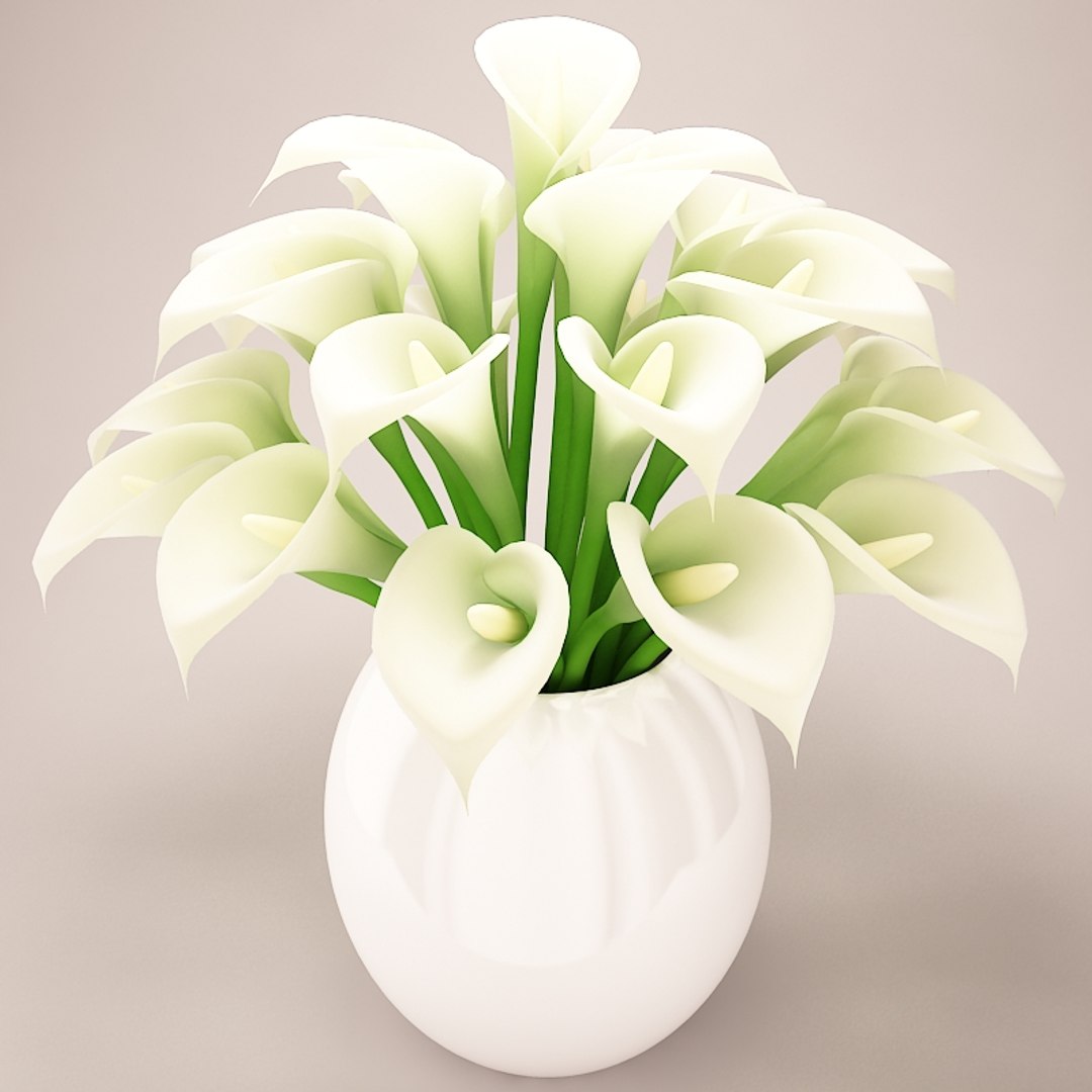 3d Model Beautiful White Flowers Bouquet