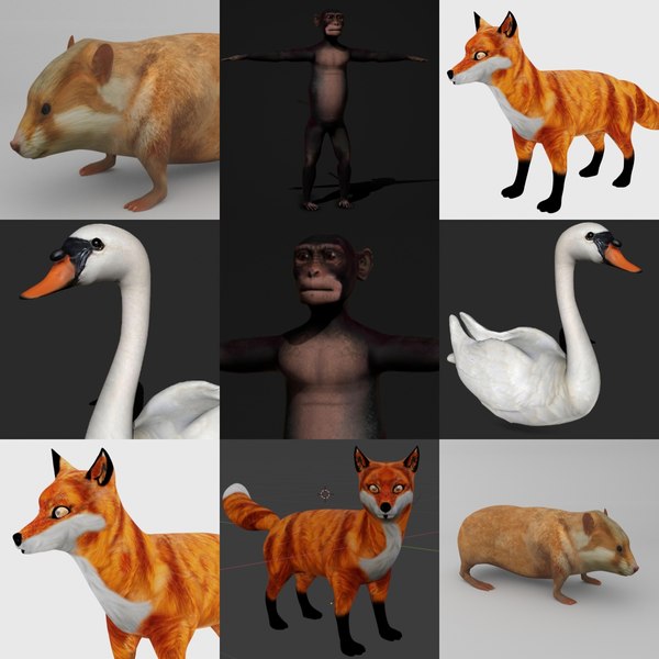 Blender Monkey Models | TurboSquid