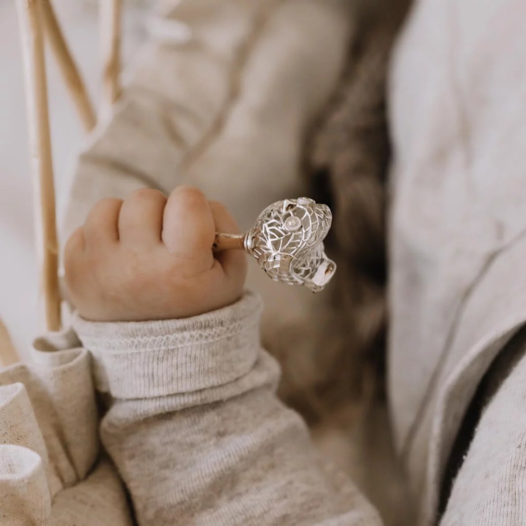 3D model Baby Rattle Bird O1 3D print model - TurboSquid 2013753