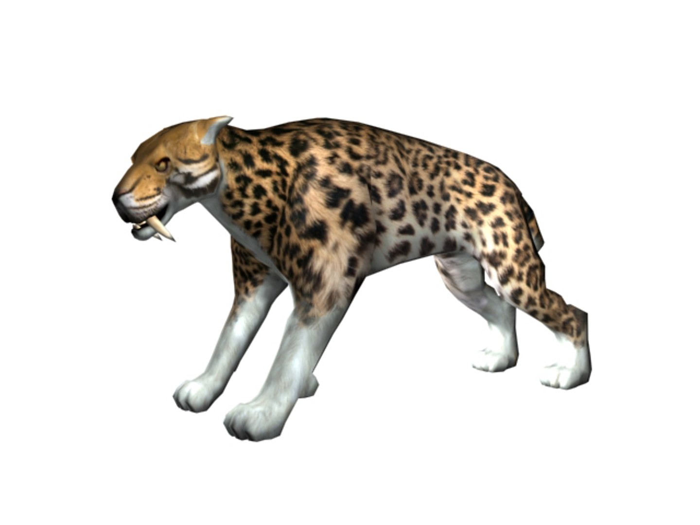 3d Model Cat Sabertooth