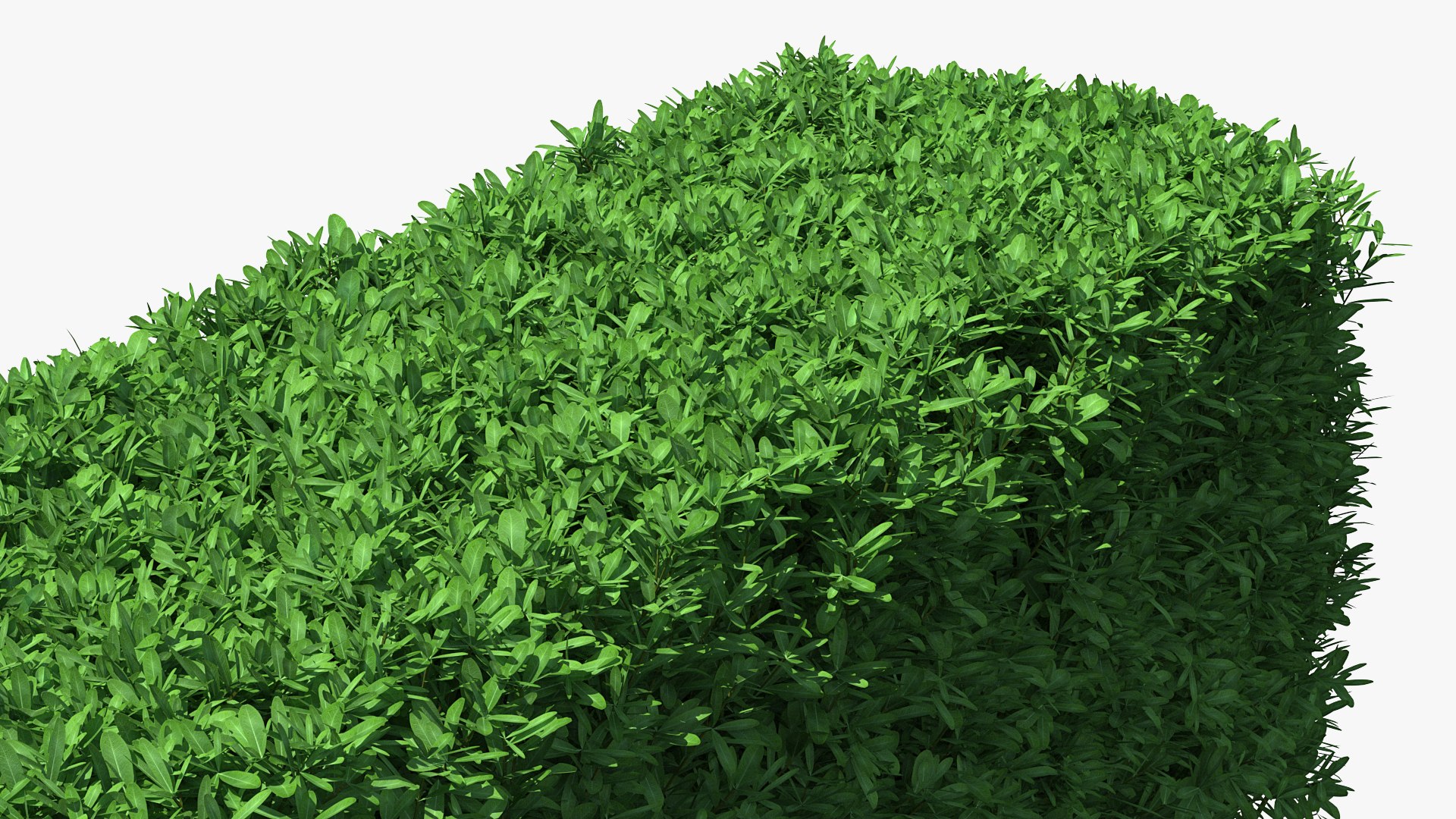 Boxwood hedge fence 3D model - TurboSquid 1574955