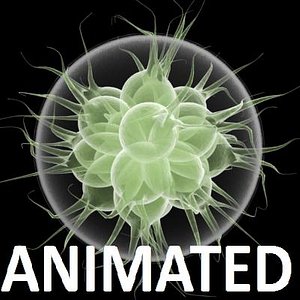 3D Algae Models - Browse & Download Formats - TurboSquid