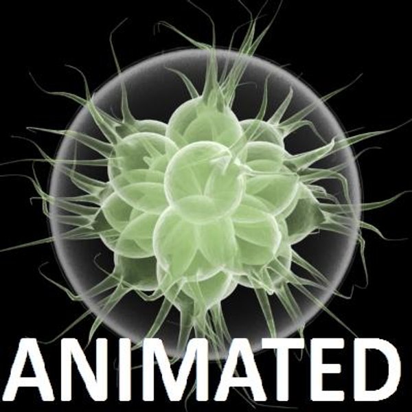 3D Algae Models | TurboSquid