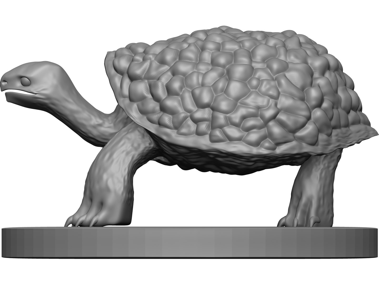 3D Realistic Tortoise Model - TurboSquid 1874607