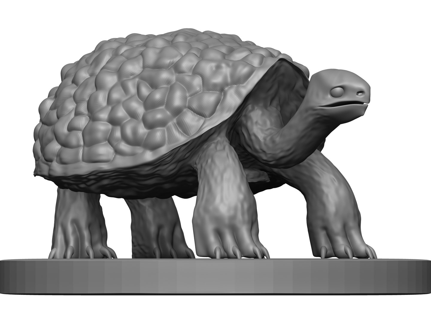 3D Realistic Tortoise Model - TurboSquid 1874607
