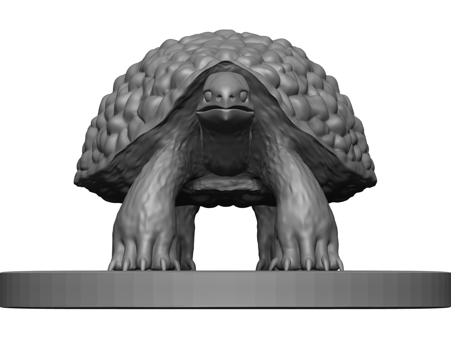 3D Realistic Tortoise Model - TurboSquid 1874607
