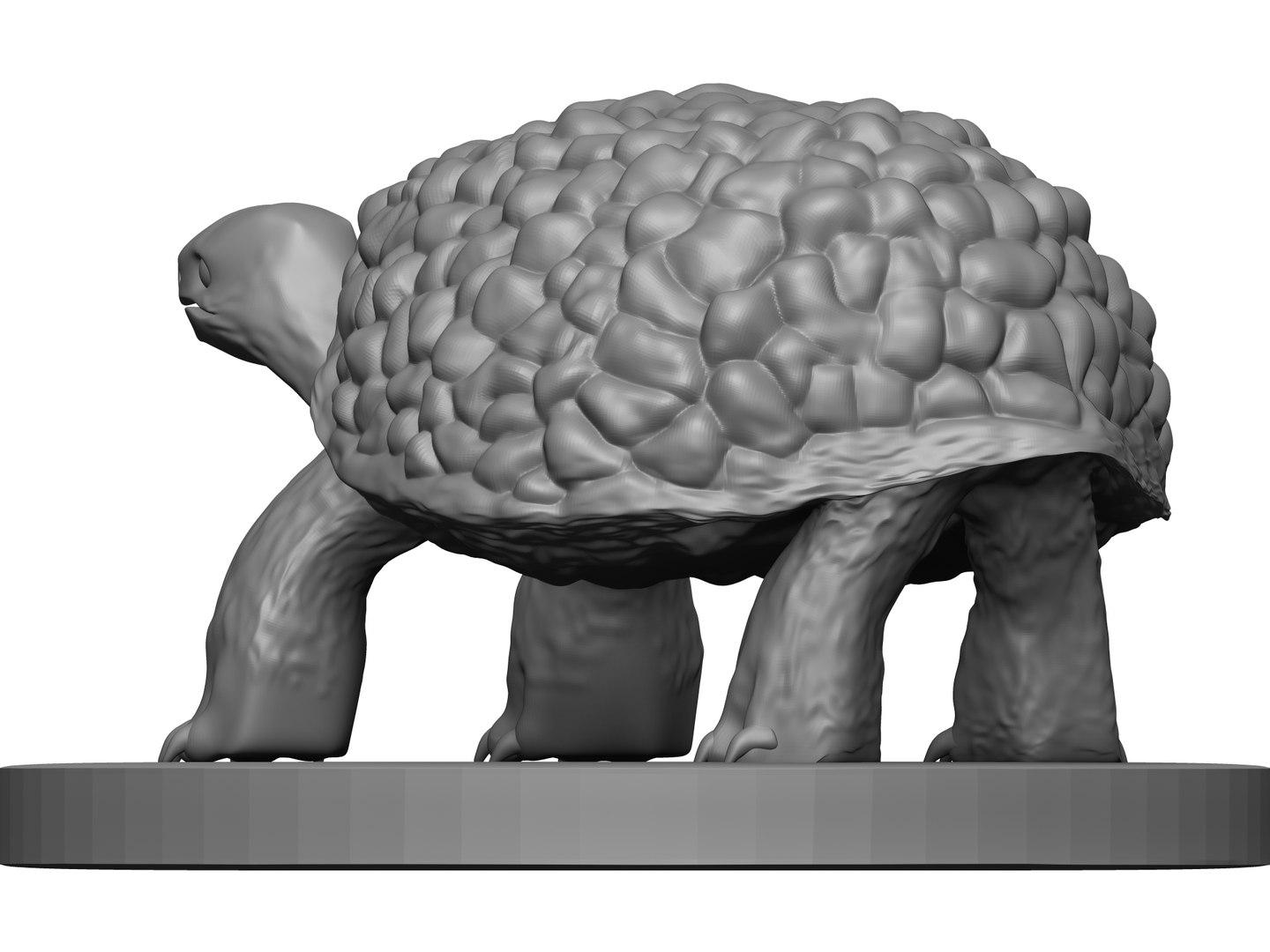 3D Realistic Tortoise Model - TurboSquid 1874607