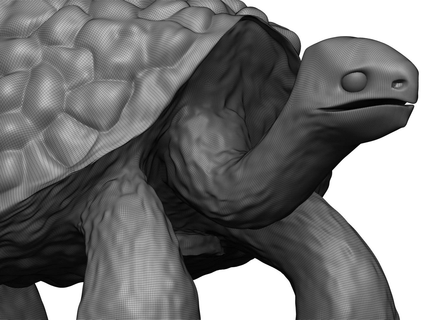 3D Realistic Tortoise Model - TurboSquid 1874607