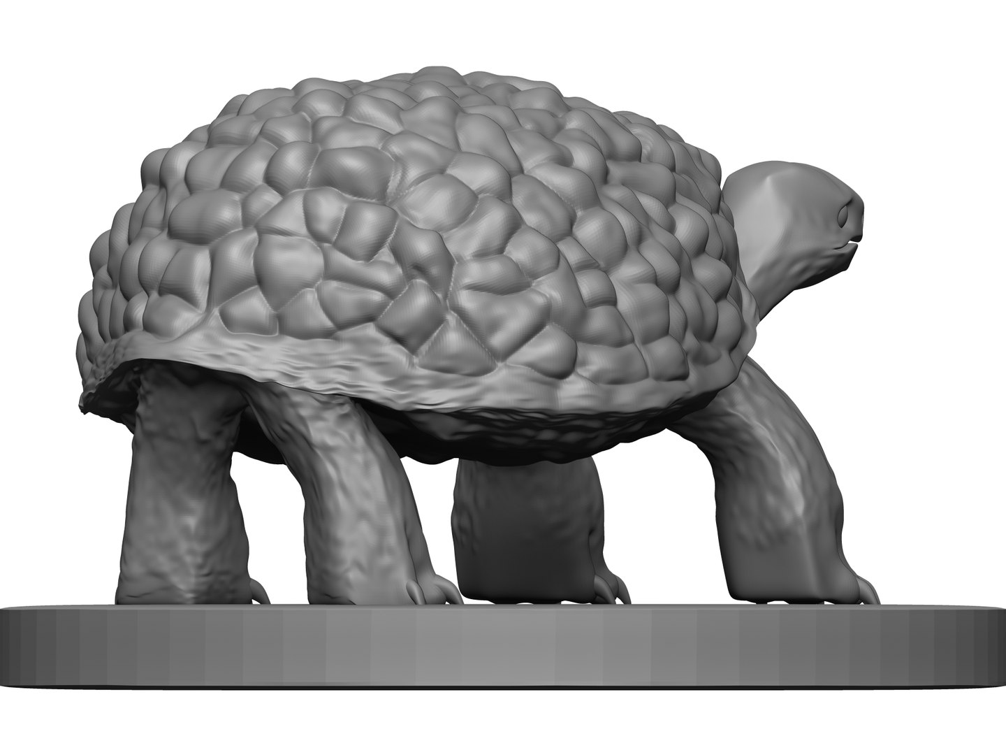 3D Realistic Tortoise Model - TurboSquid 1874607