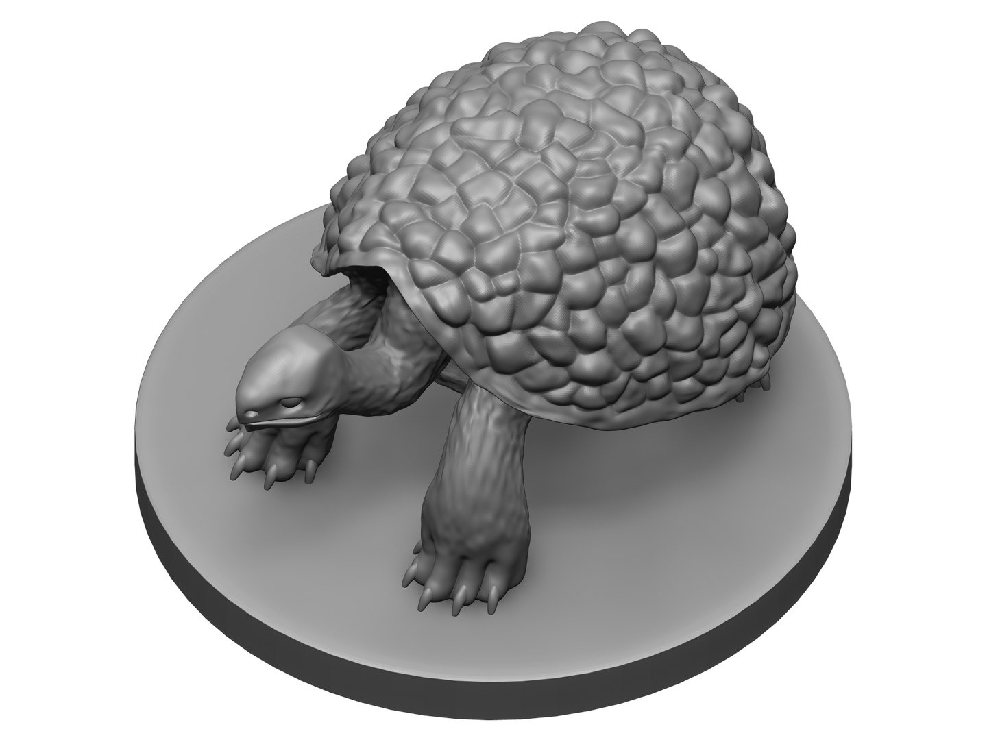 3D Realistic Tortoise Model - TurboSquid 1874607