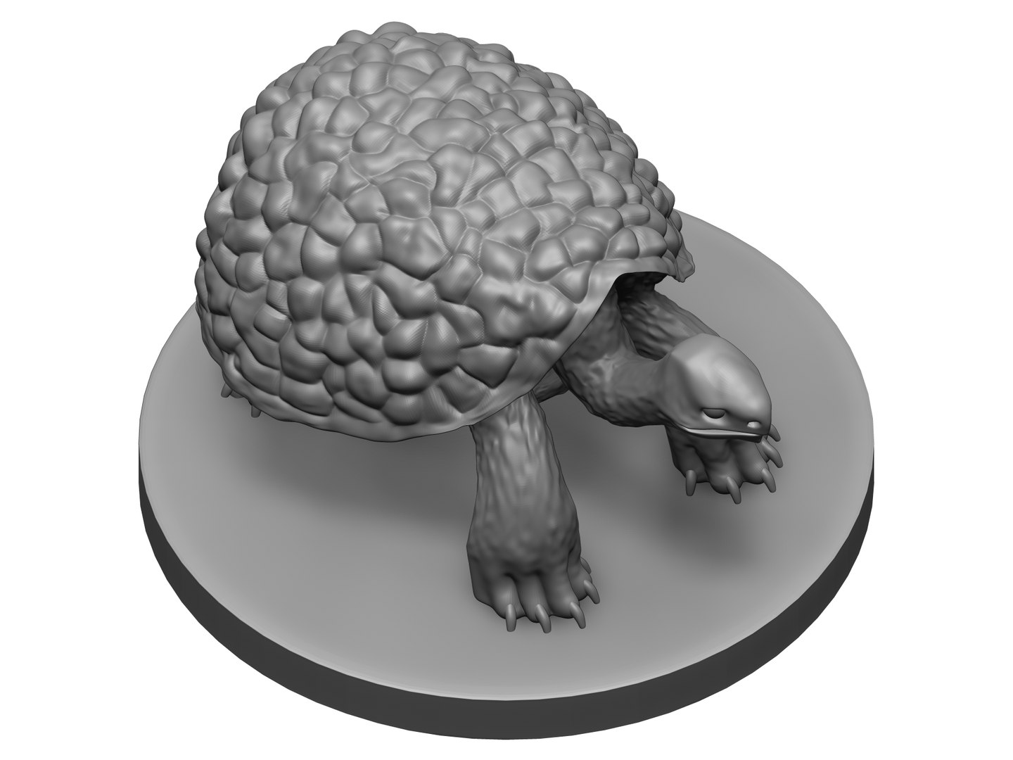 3D Realistic Tortoise Model - TurboSquid 1874607
