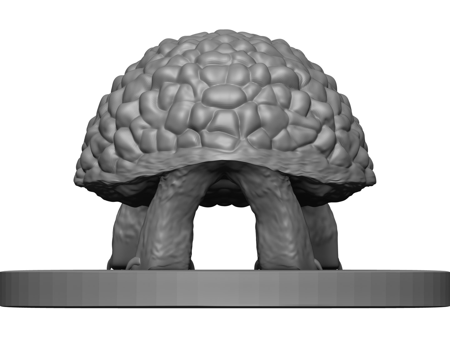 3D Realistic Tortoise Model - TurboSquid 1874607