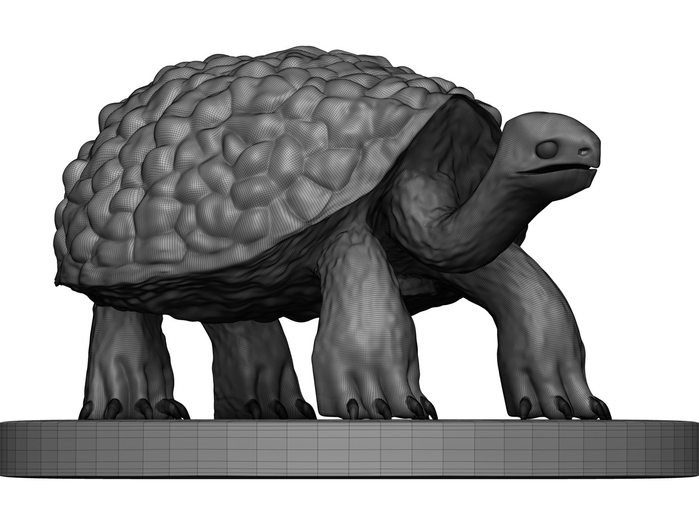 3D Realistic Tortoise Model - TurboSquid 1874607