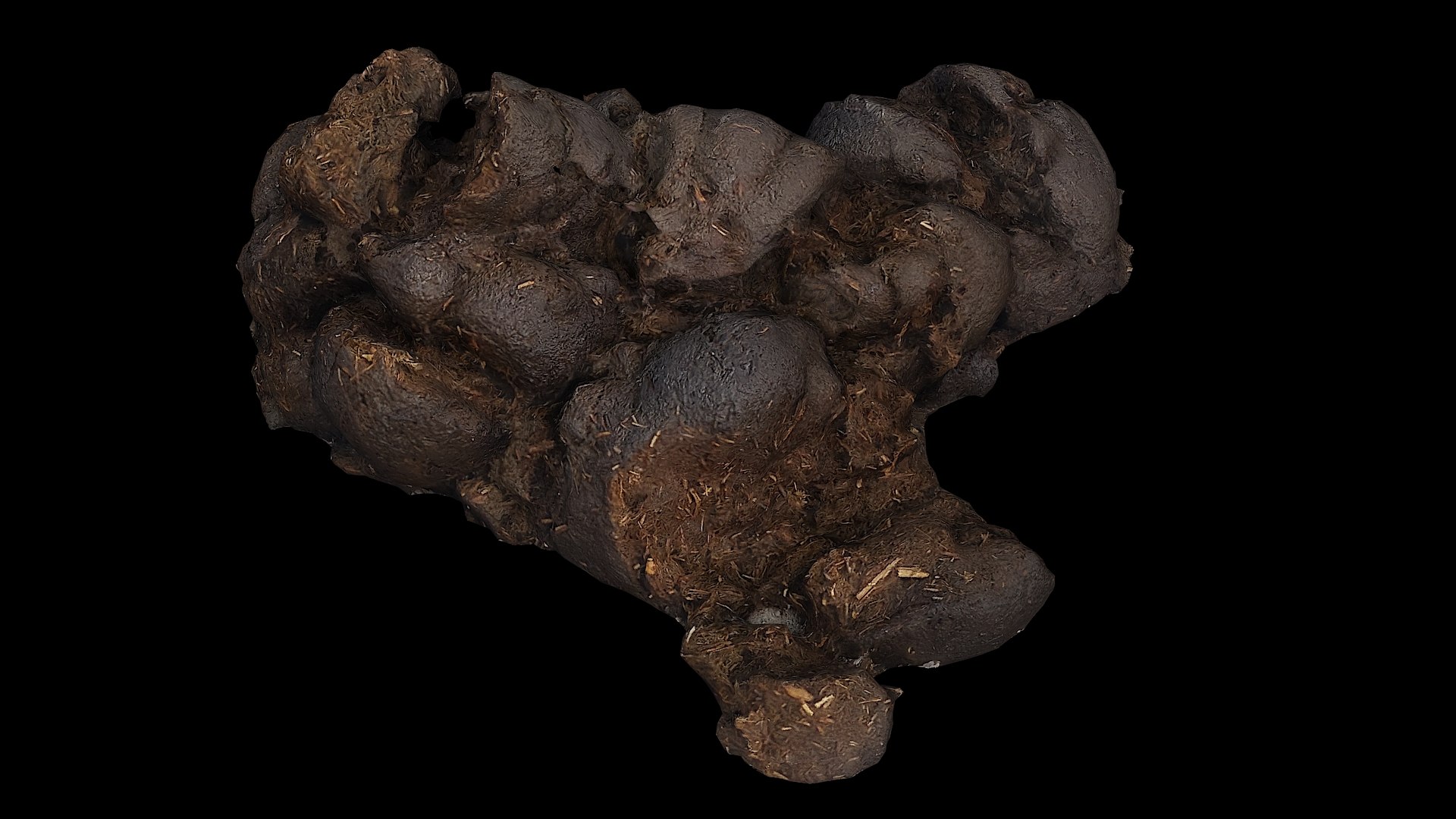 3D Horse Droppings 02 Model - TurboSquid 2142559