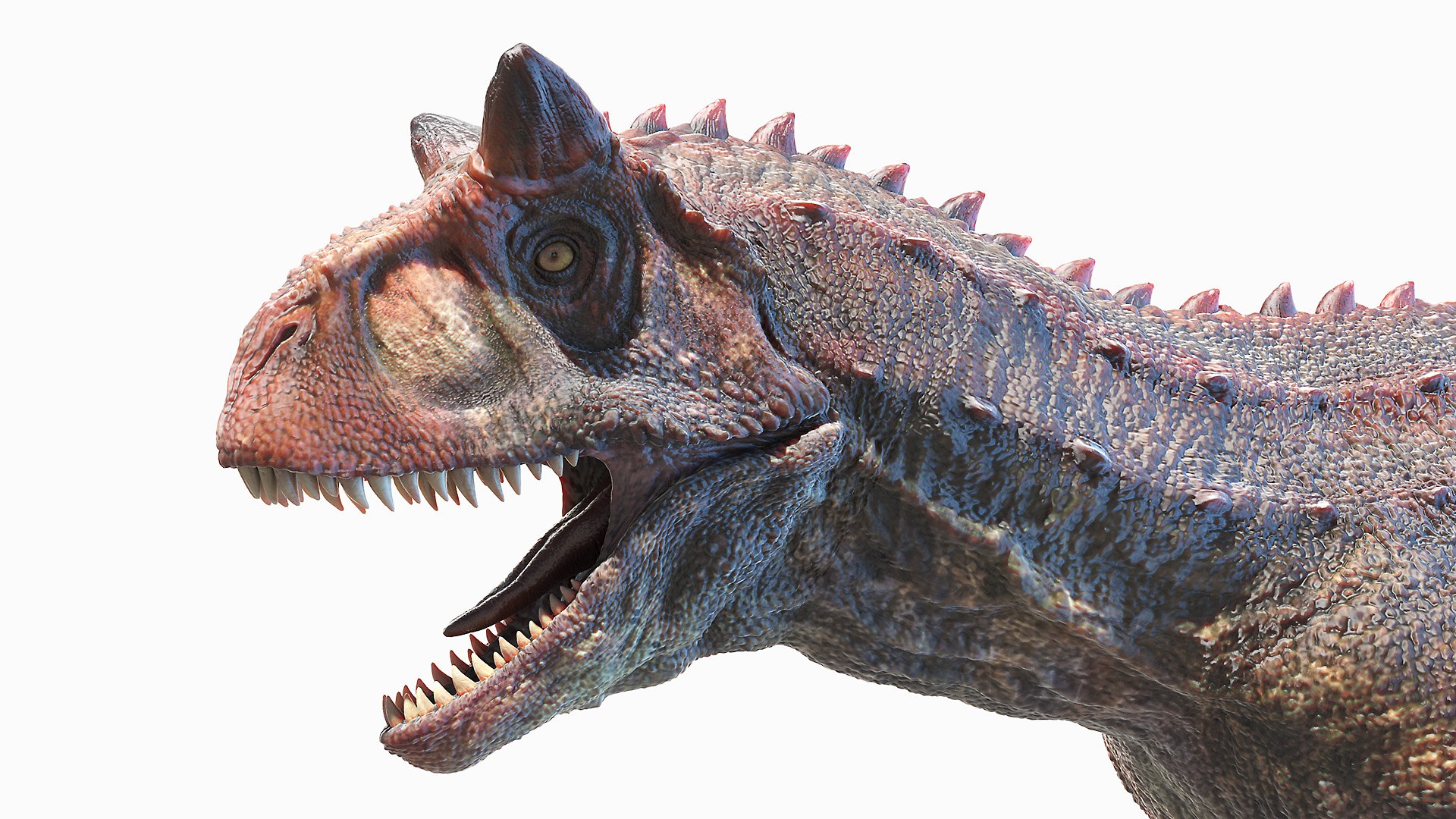Carnotaurus 3D Model - TurboSquid 1655654