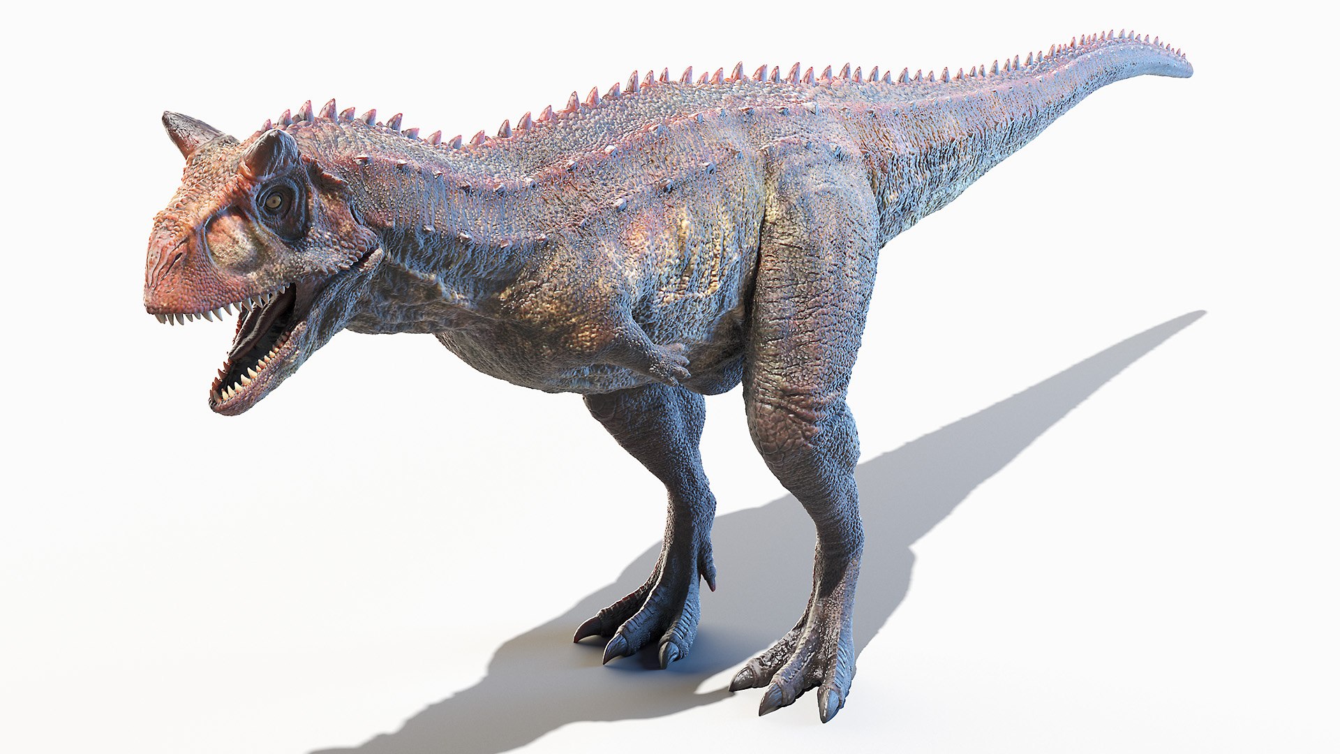 Carnotaurus 3D Model - TurboSquid 1655654