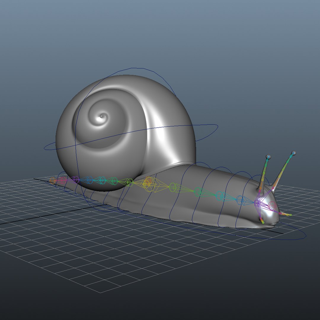 Photo-realistic Snail 3d Ma
