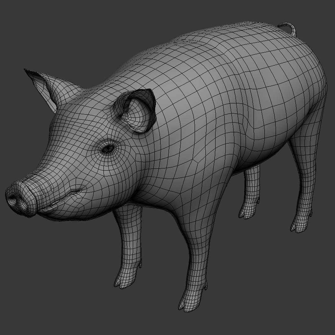 3d Model Dugm02 Pig