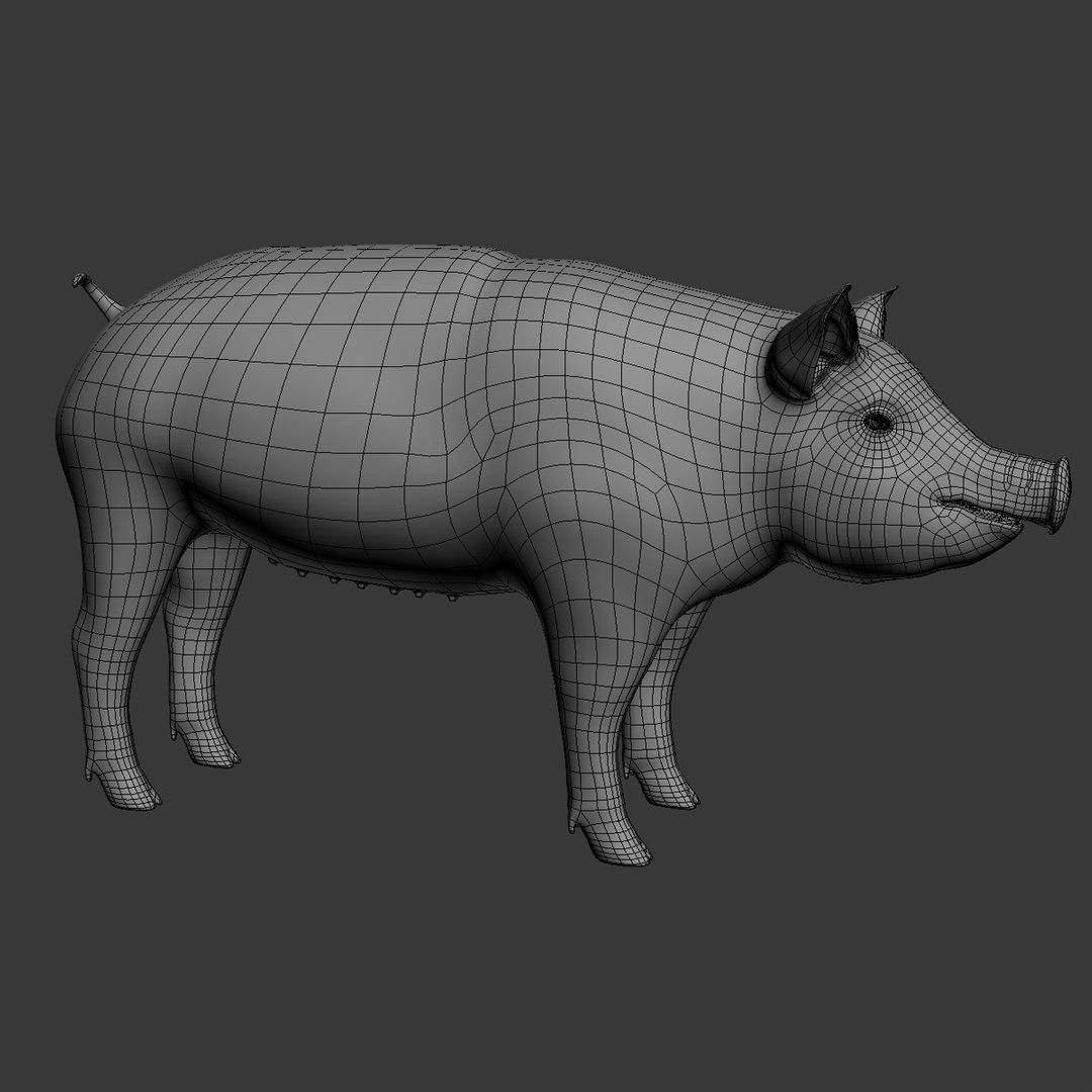 3d Model Dugm02 Pig