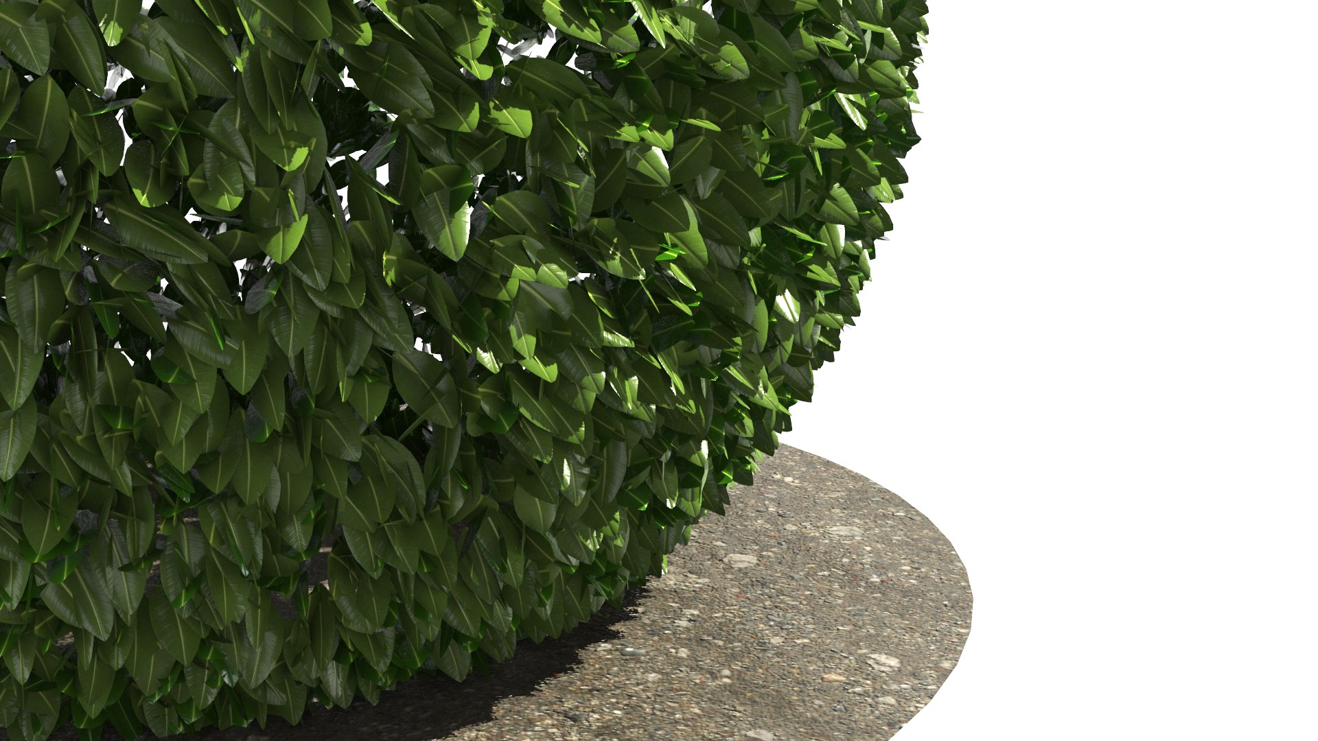 3D Round Bush - TurboSquid 1717163