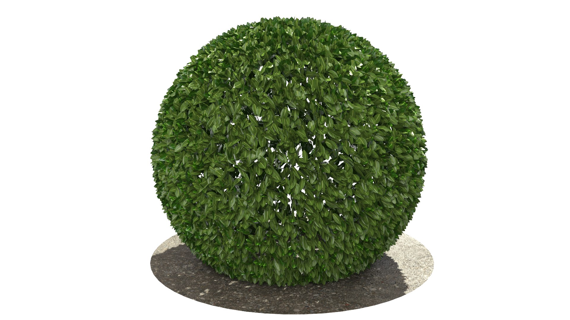 3D Round Bush - TurboSquid 1717163