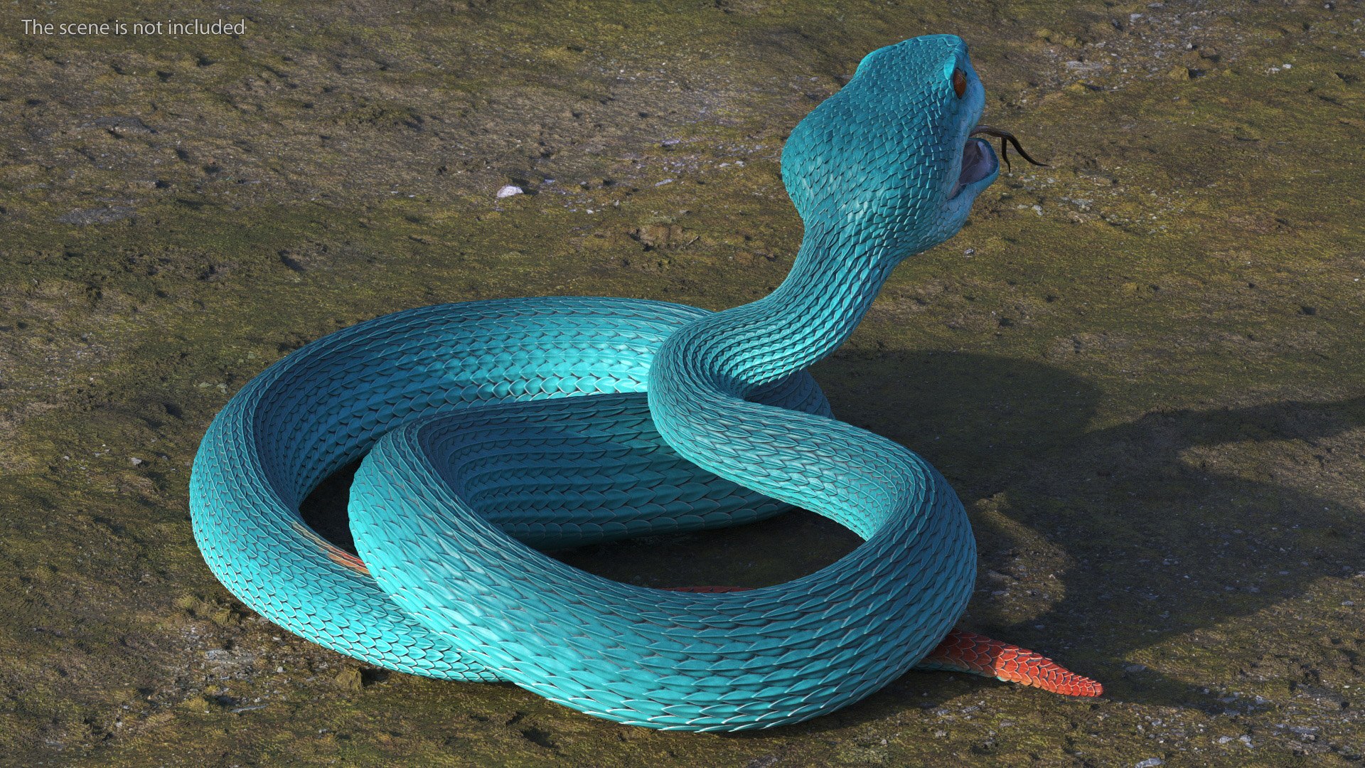 Viper Blue Trimeresurus Rigged for Maya 3D model - TurboSquid 2115361