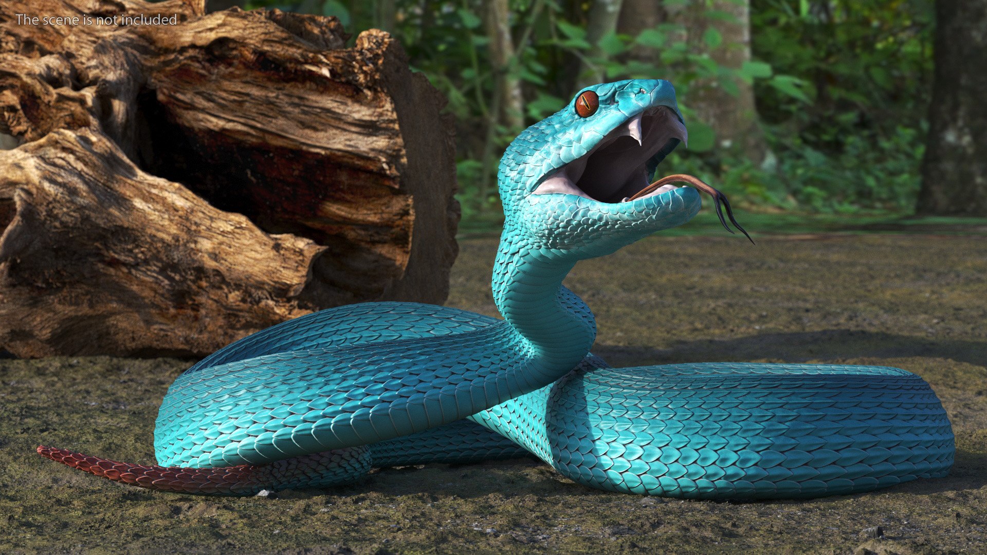 Viper Blue Trimeresurus Rigged for Maya 3D model - TurboSquid 2115361