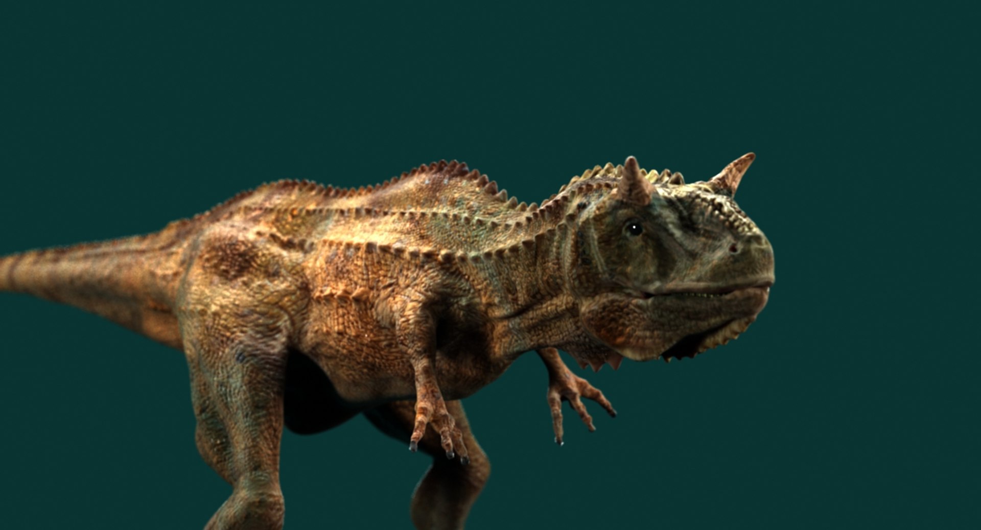 Carnotaurus Theropod Dinosaur 3D Model - TurboSquid 1233878