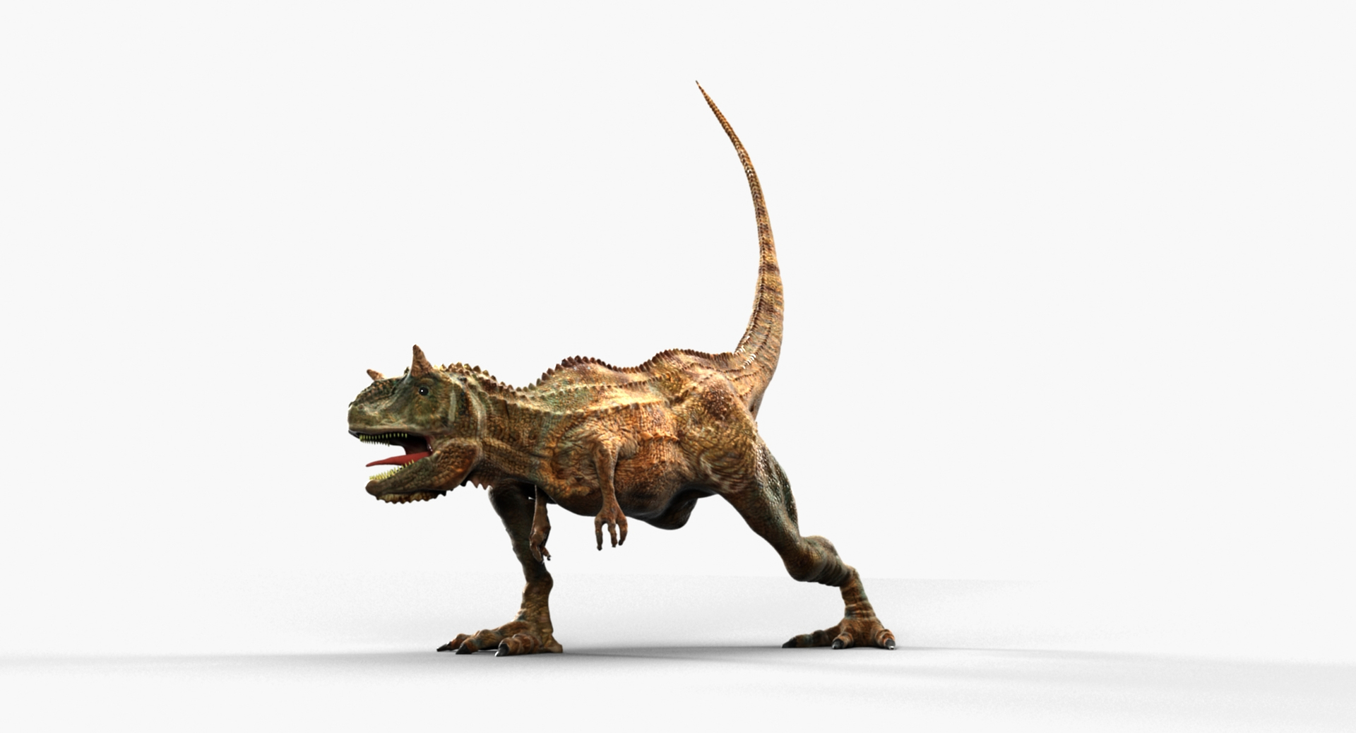 Carnotaurus Theropod Dinosaur 3D Model - TurboSquid 1233878