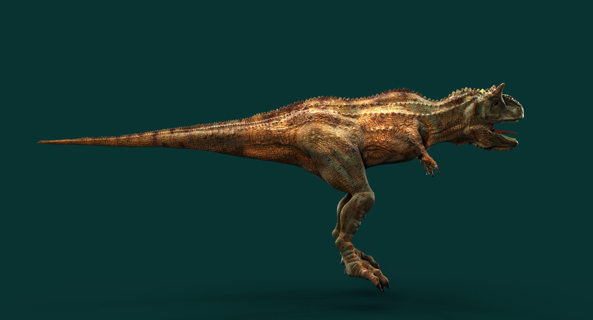Carnotaurus Theropod Dinosaur 3D Model - TurboSquid 1233878