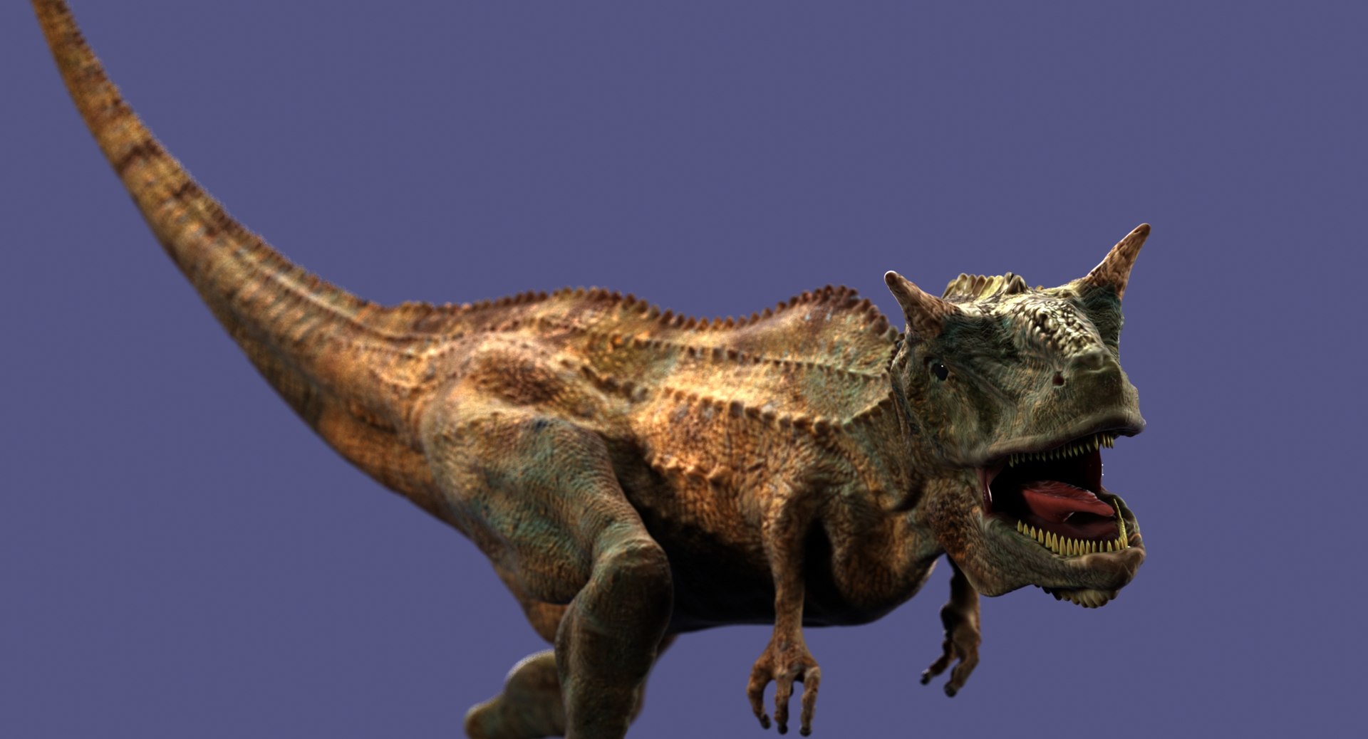 Carnotaurus Theropod Dinosaur 3D Model - TurboSquid 1233878