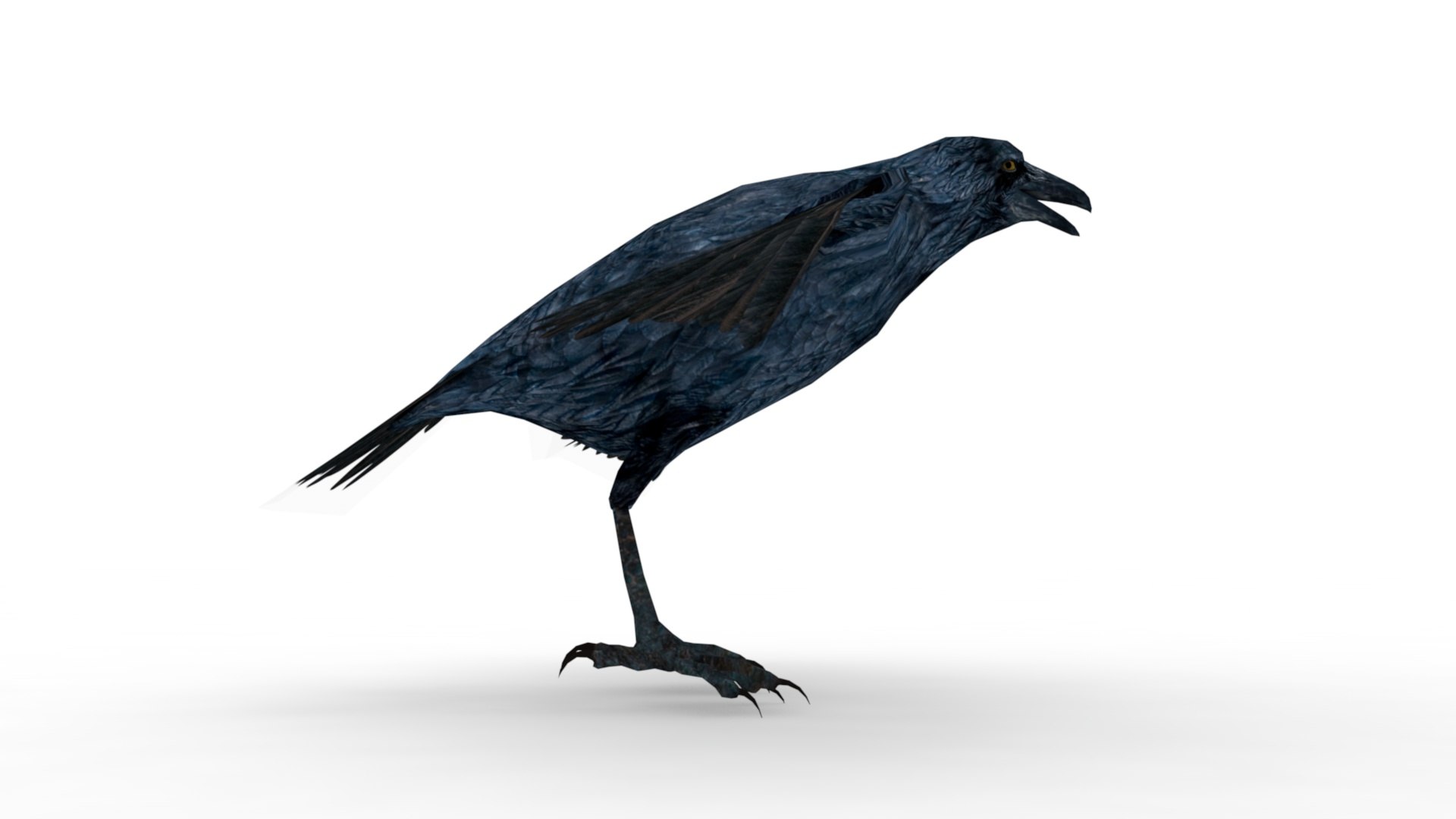 3D Crow - TurboSquid 2237897