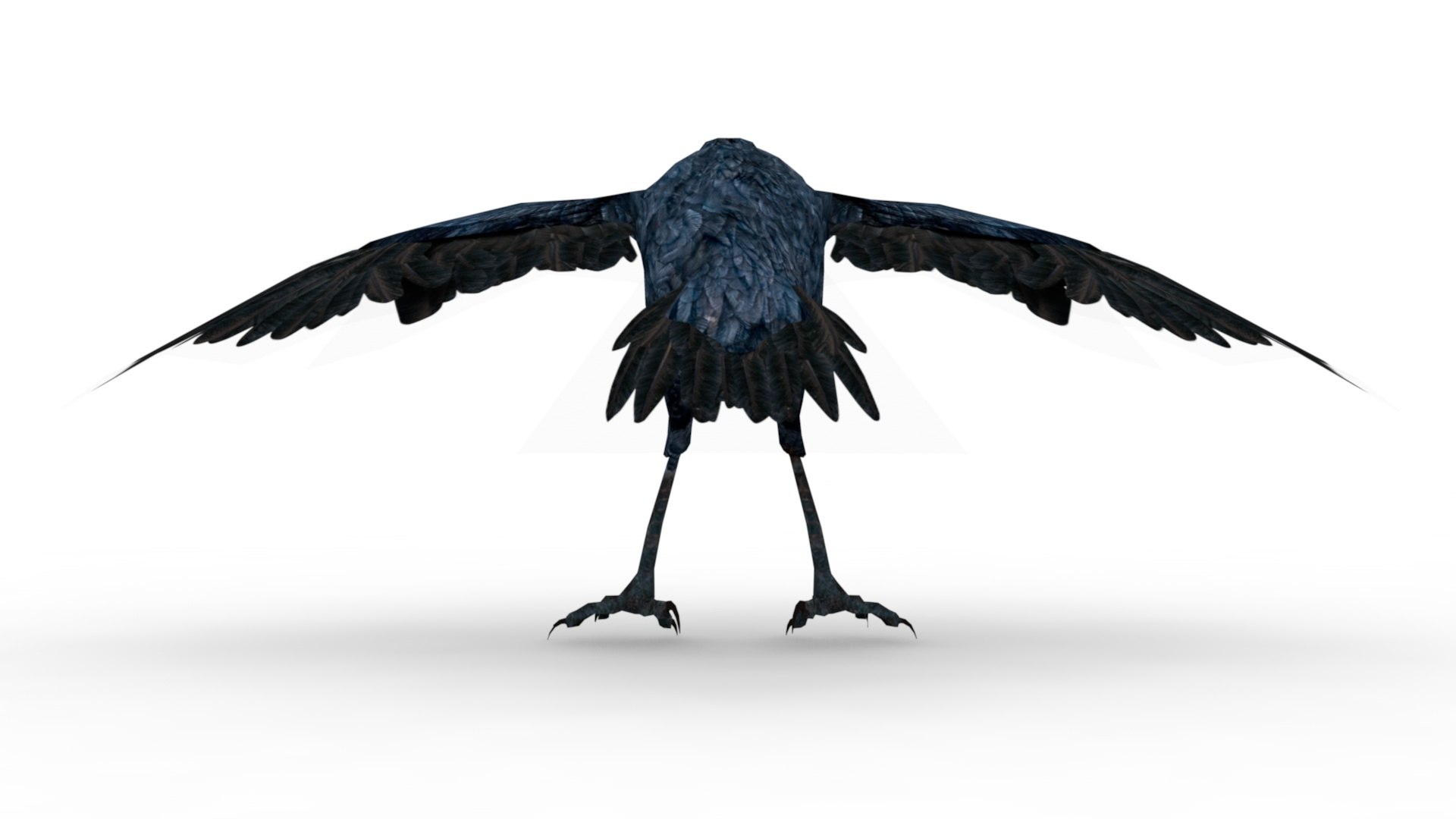3D Crow - TurboSquid 2237897