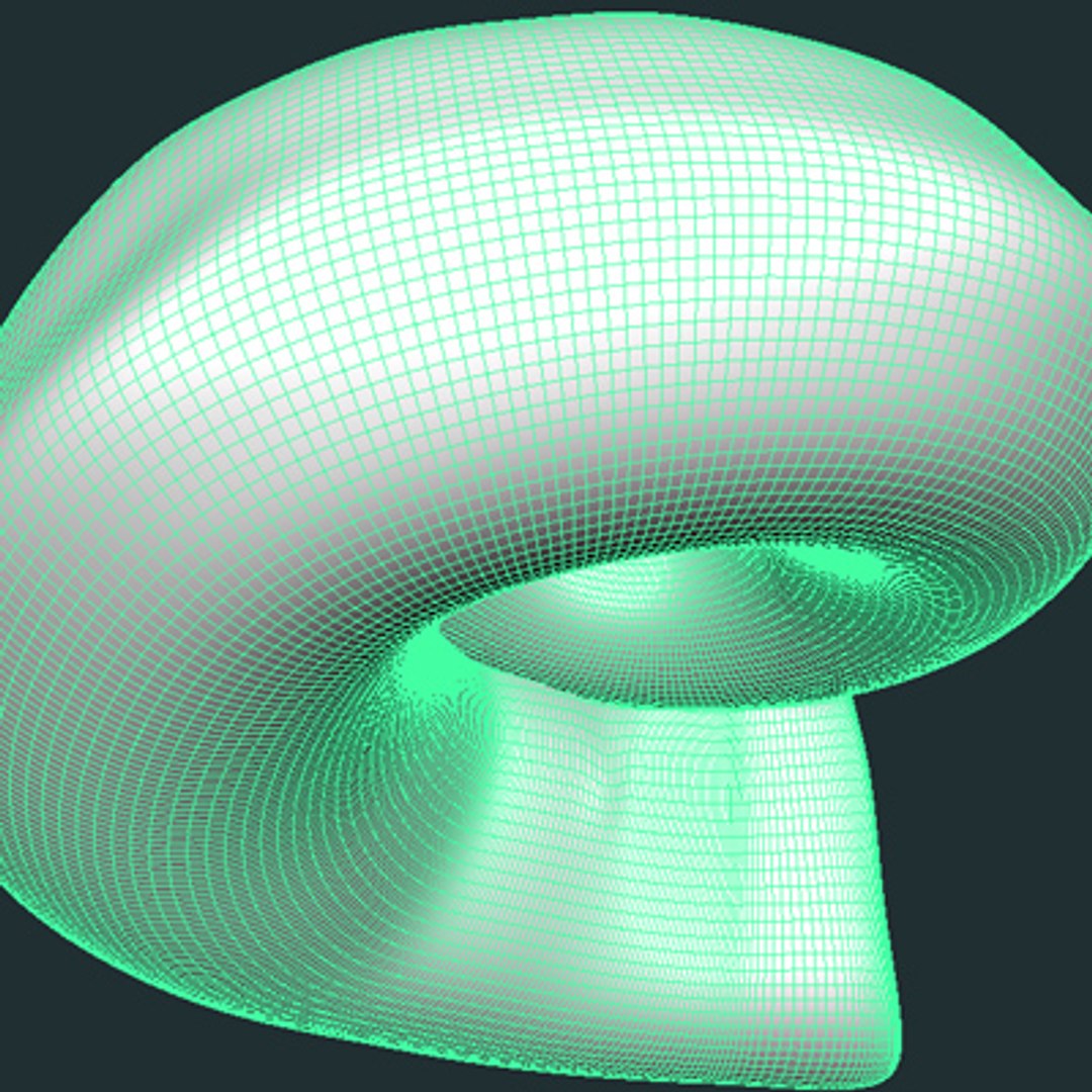 3d model spiral shells