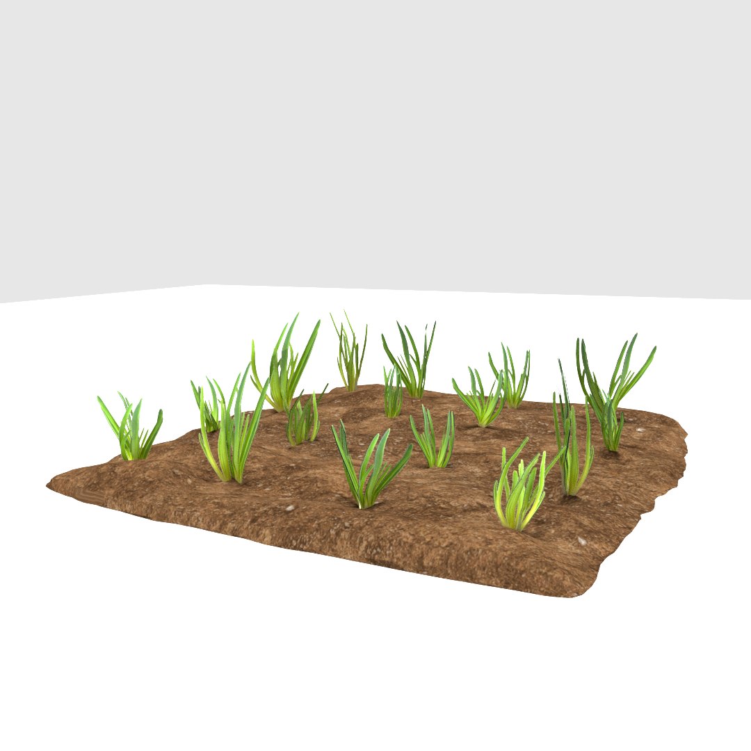 Onions 3 Growth Stages 3D Model - TurboSquid 1183760