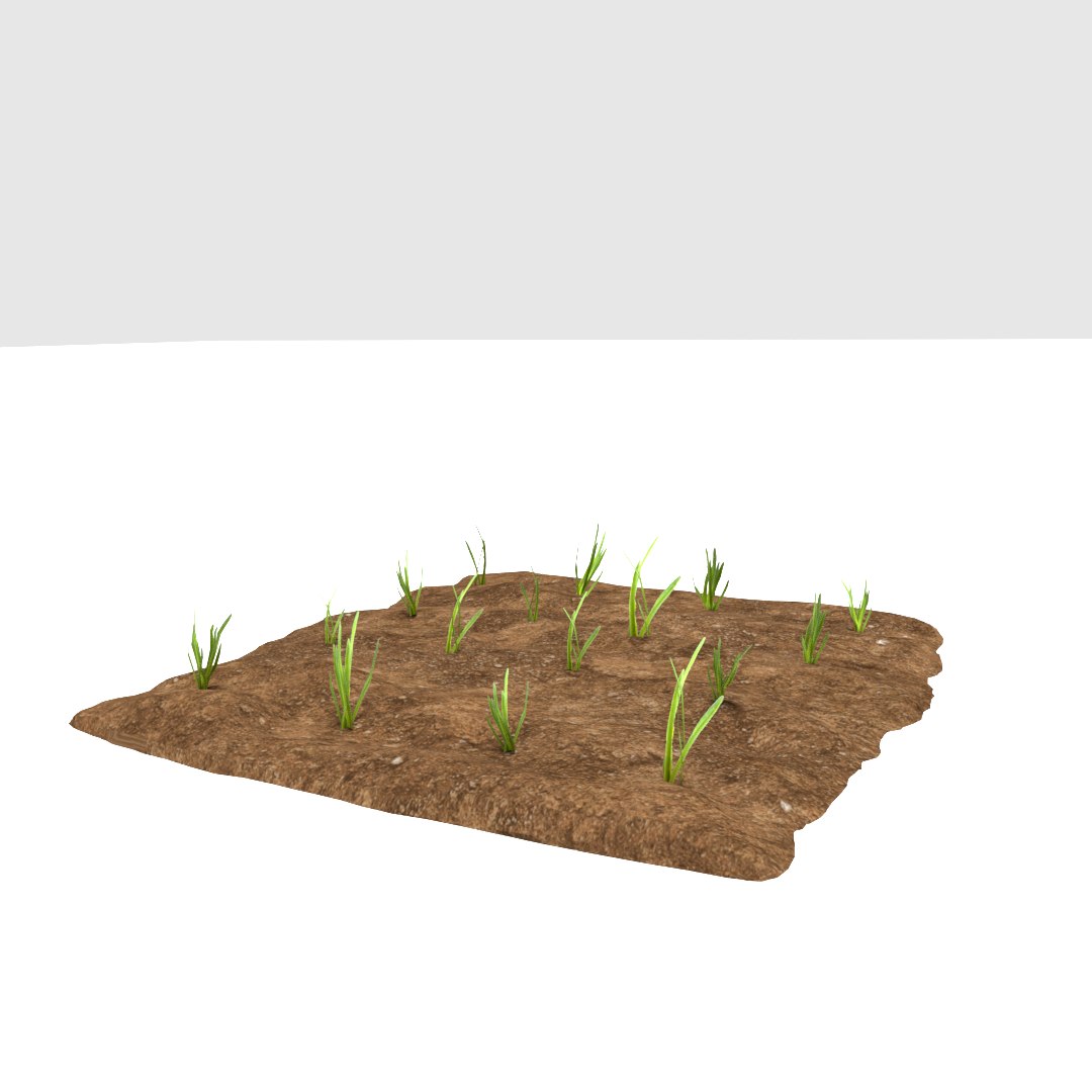 Onions 3 Growth Stages 3D Model - TurboSquid 1183760