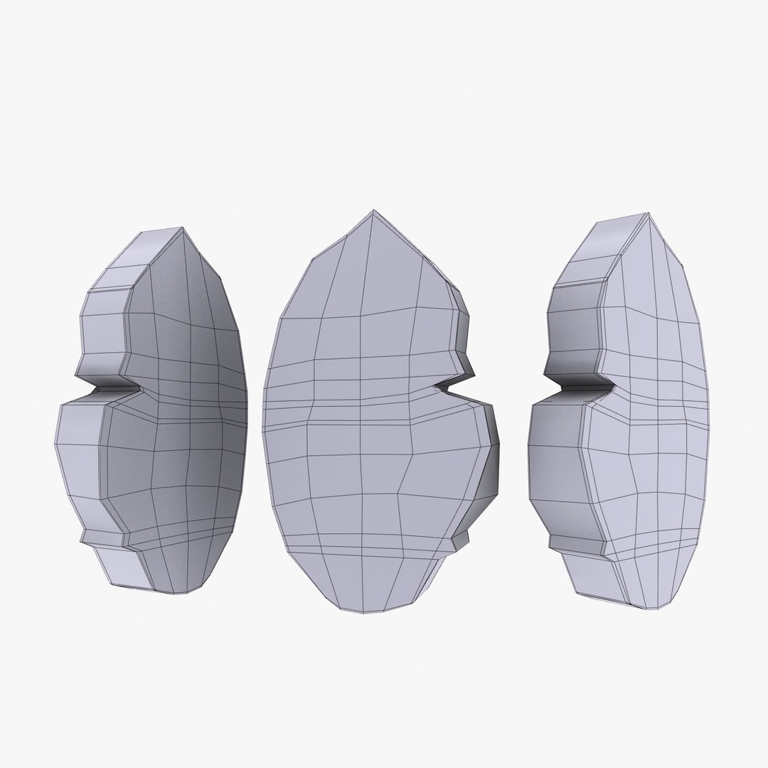 3d Steak Model