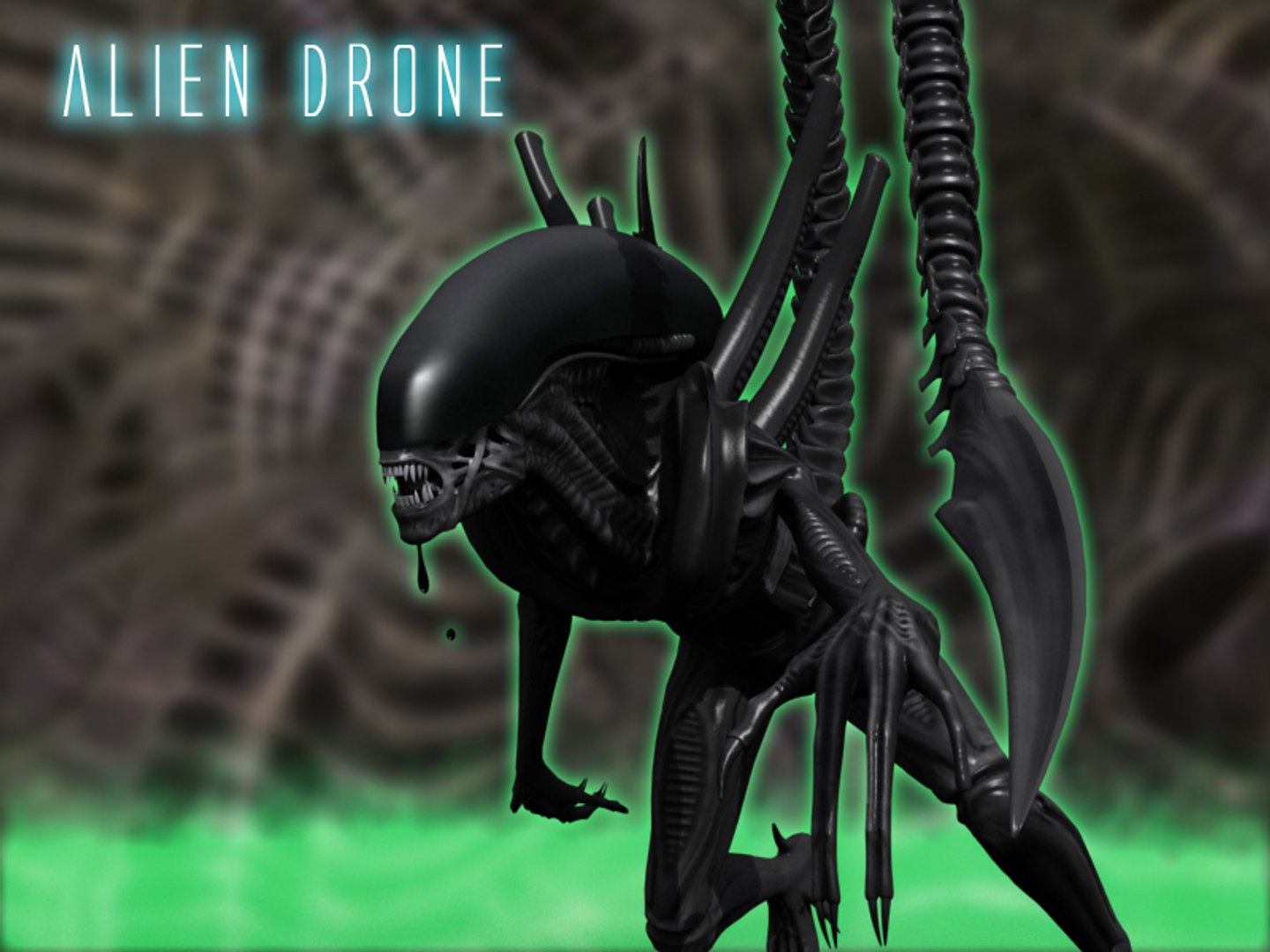 3d Model Alien Pack Xenomorph Facehugger